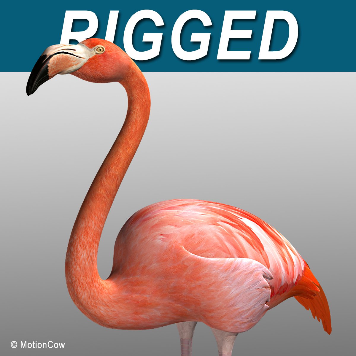 Flamingo (Folded Wings) – MotionCow